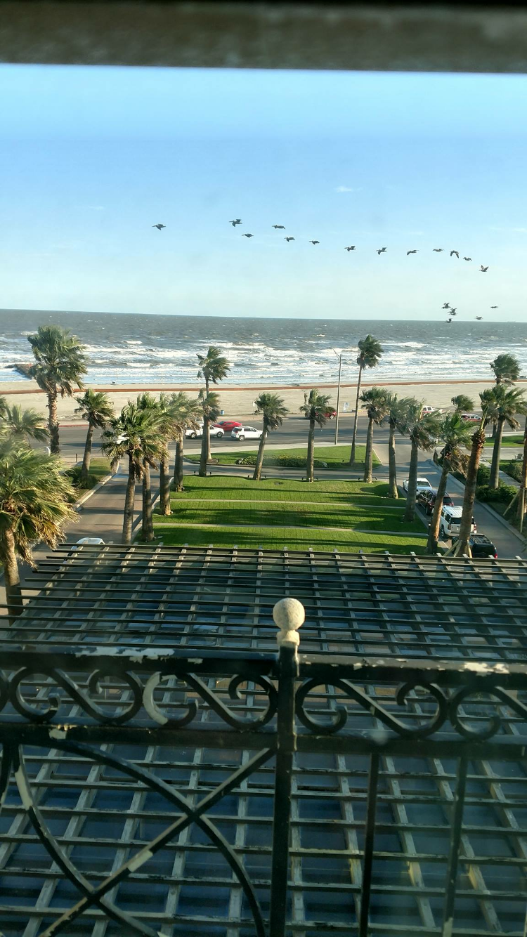 Spring Break In Galveston Texas - Creative Lifestyles