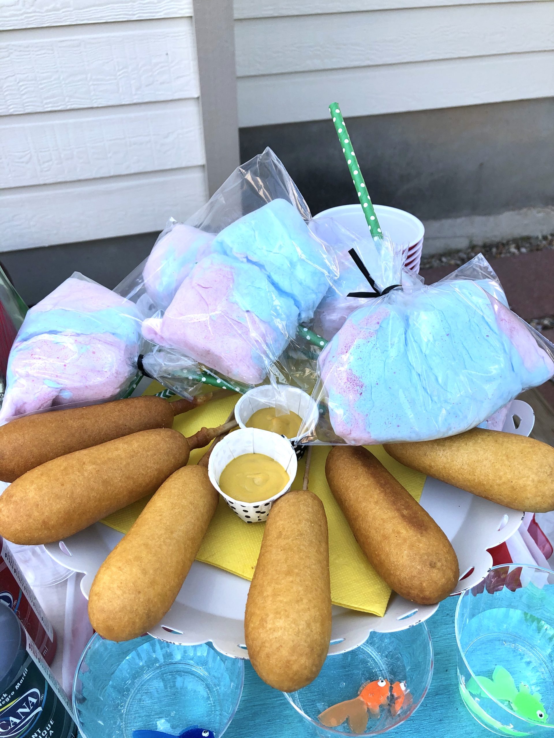 State Fair 2 - Creative Lifestyles