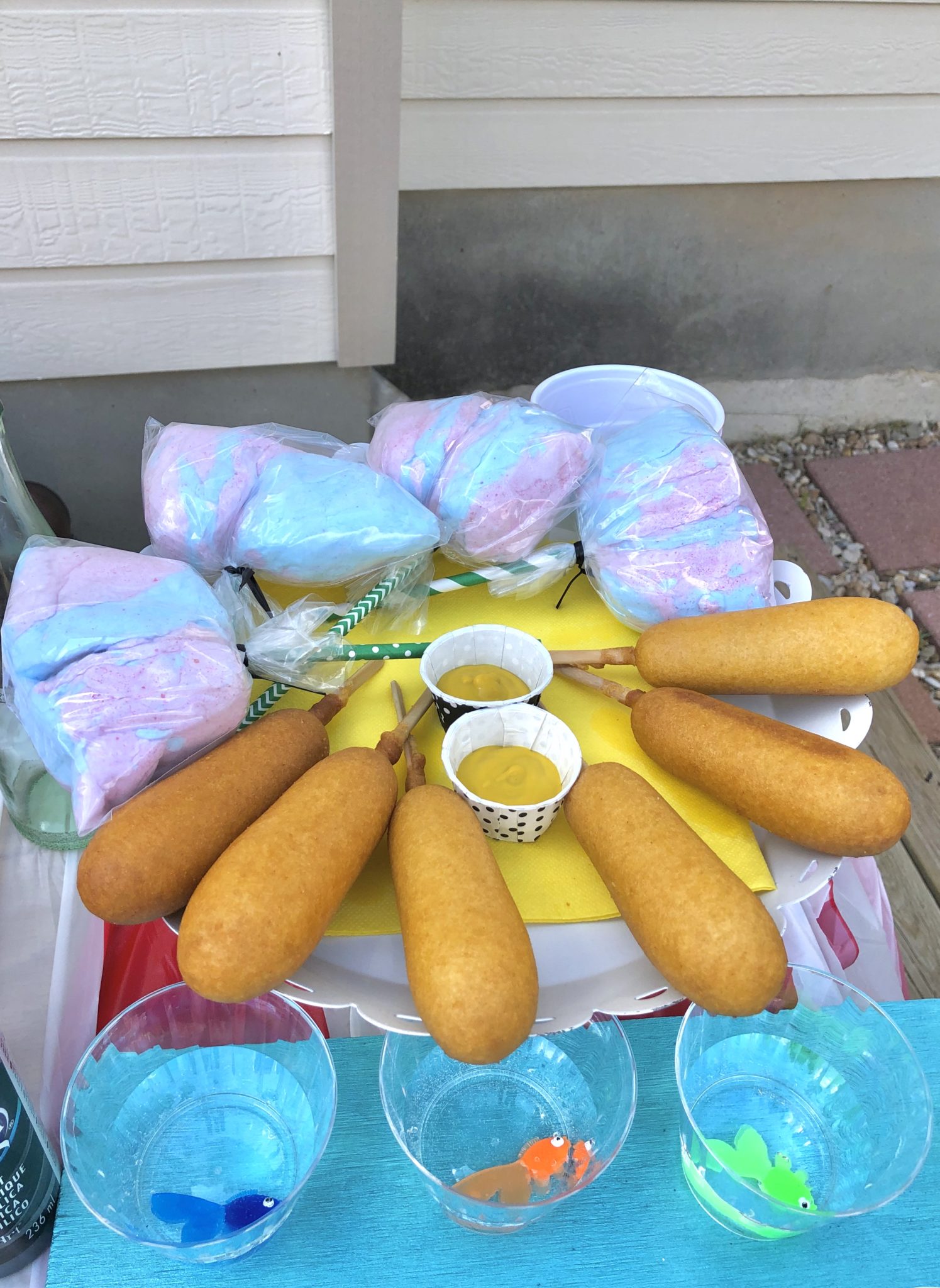 State Fair DIY Fun At Home - Creative Lifestyles